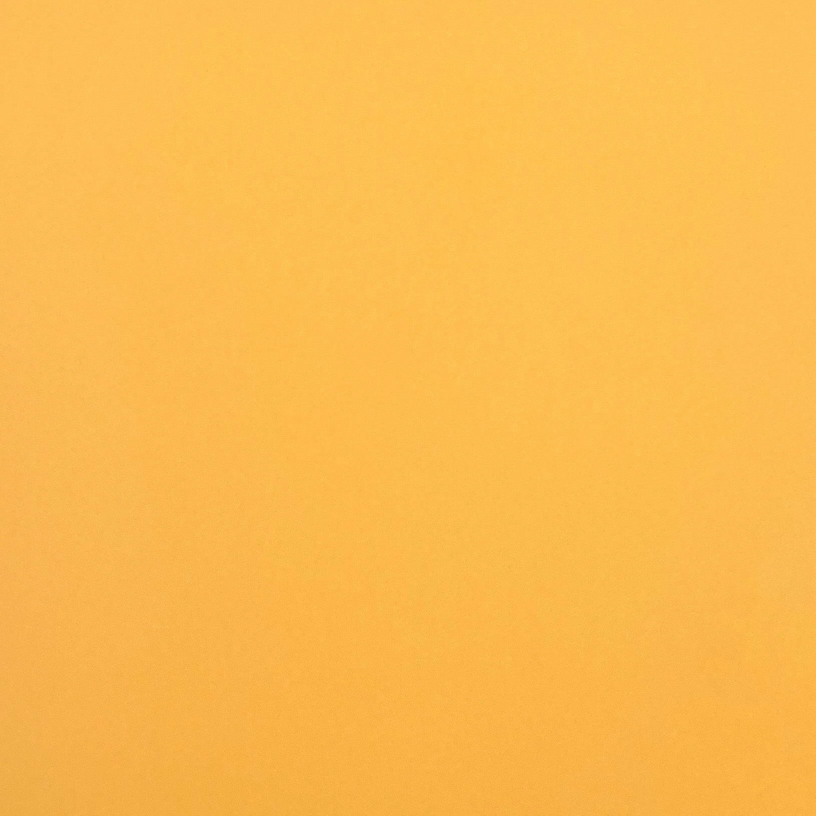 BEEHIVE 12x12 Textured Yellow Cardstock - Encore Paper – The 12x12 Cardstock Shop