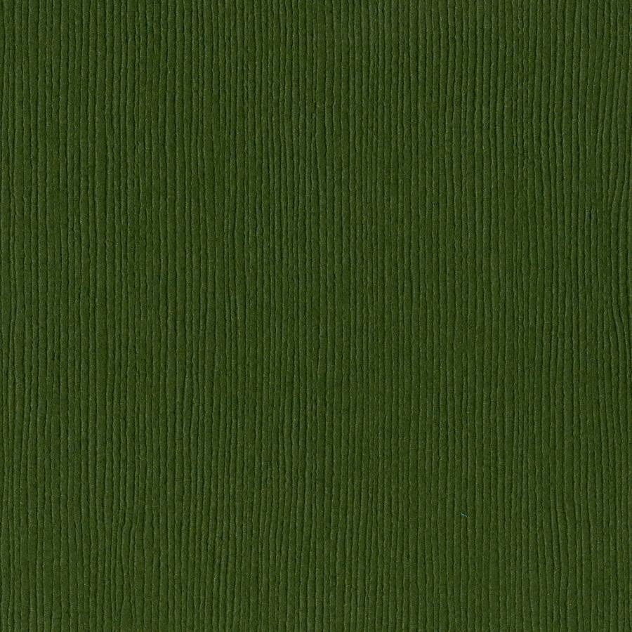 RAIN FOREST – 12x12 Green Cardstock 80 lb Textured Scrapbook Paper ...
