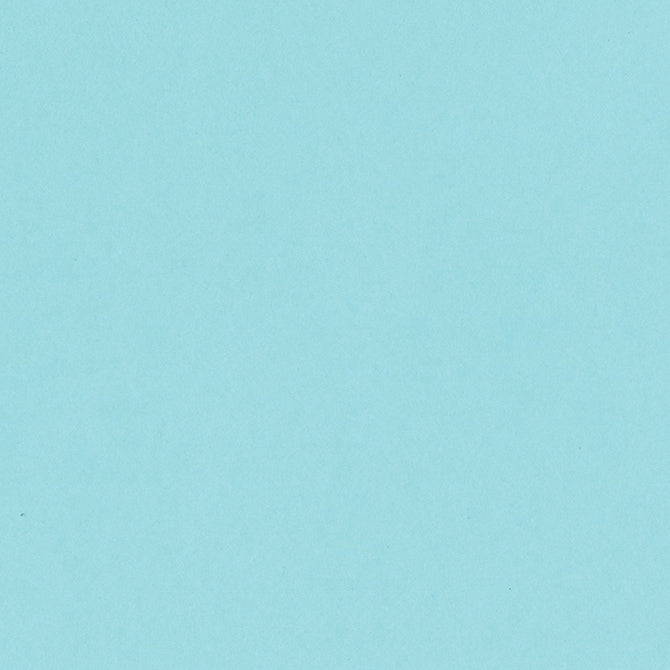 Robin Egg Blue Wallpaper