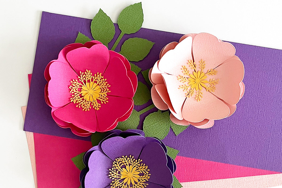 The Ultimate Guide to Choosing the Right Cardstock for Every Type of C ...