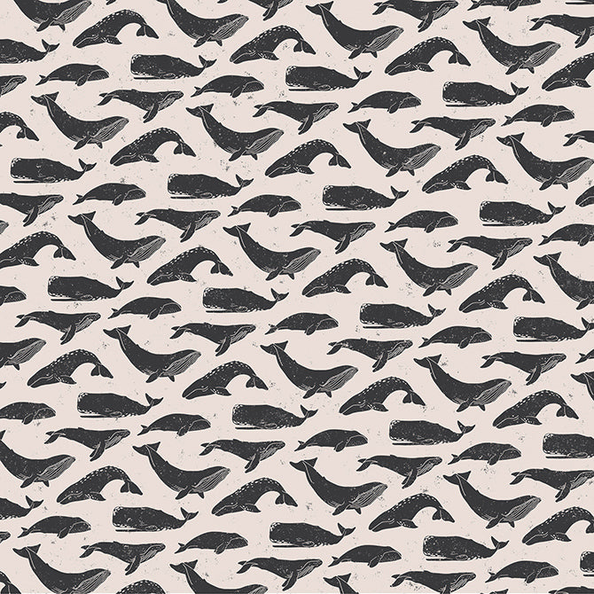 EPIC WHALE - 12x12 Single-Sided Pattern Paper - American Crafts – The ...
