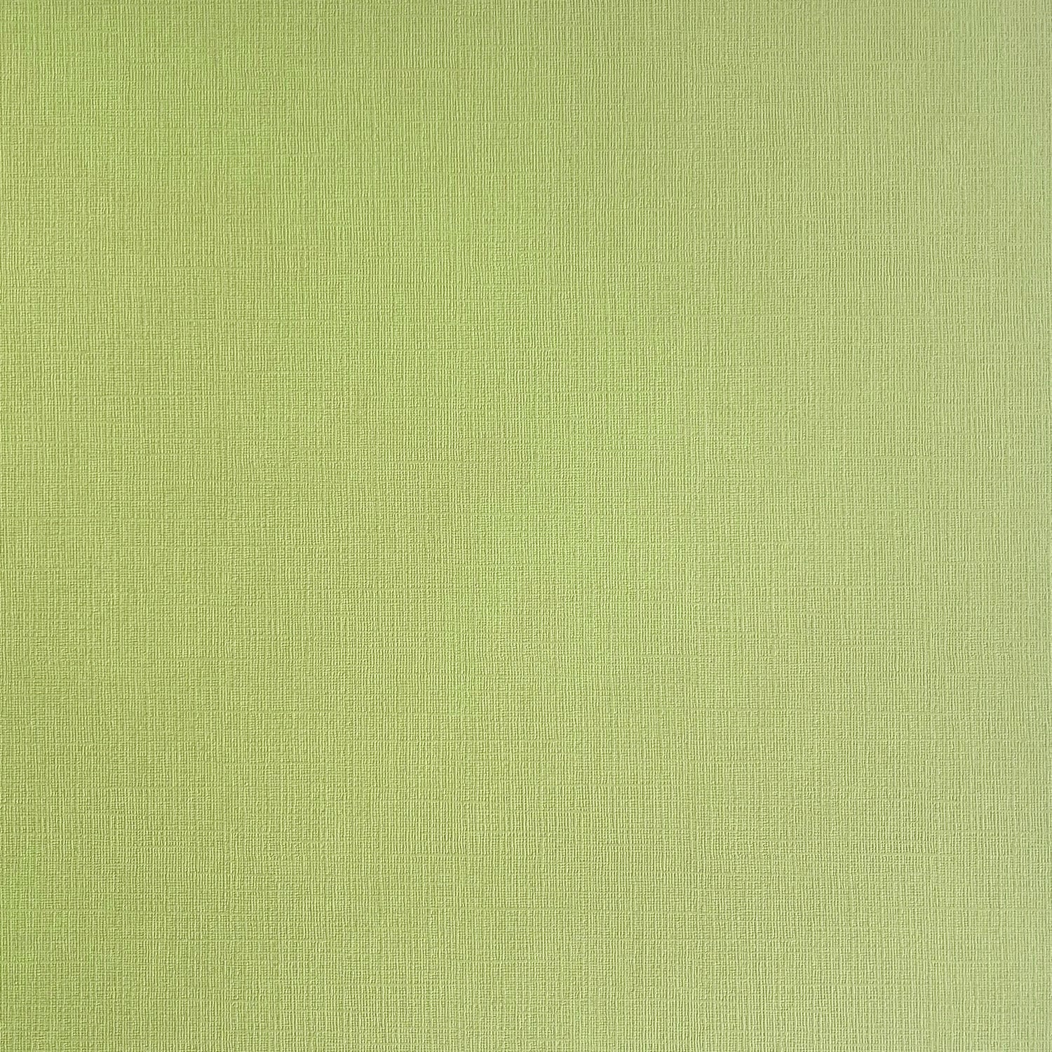 GRASSHOPPER 12x12 Textured Green Cardstock - My Colors – The 12x12 ...