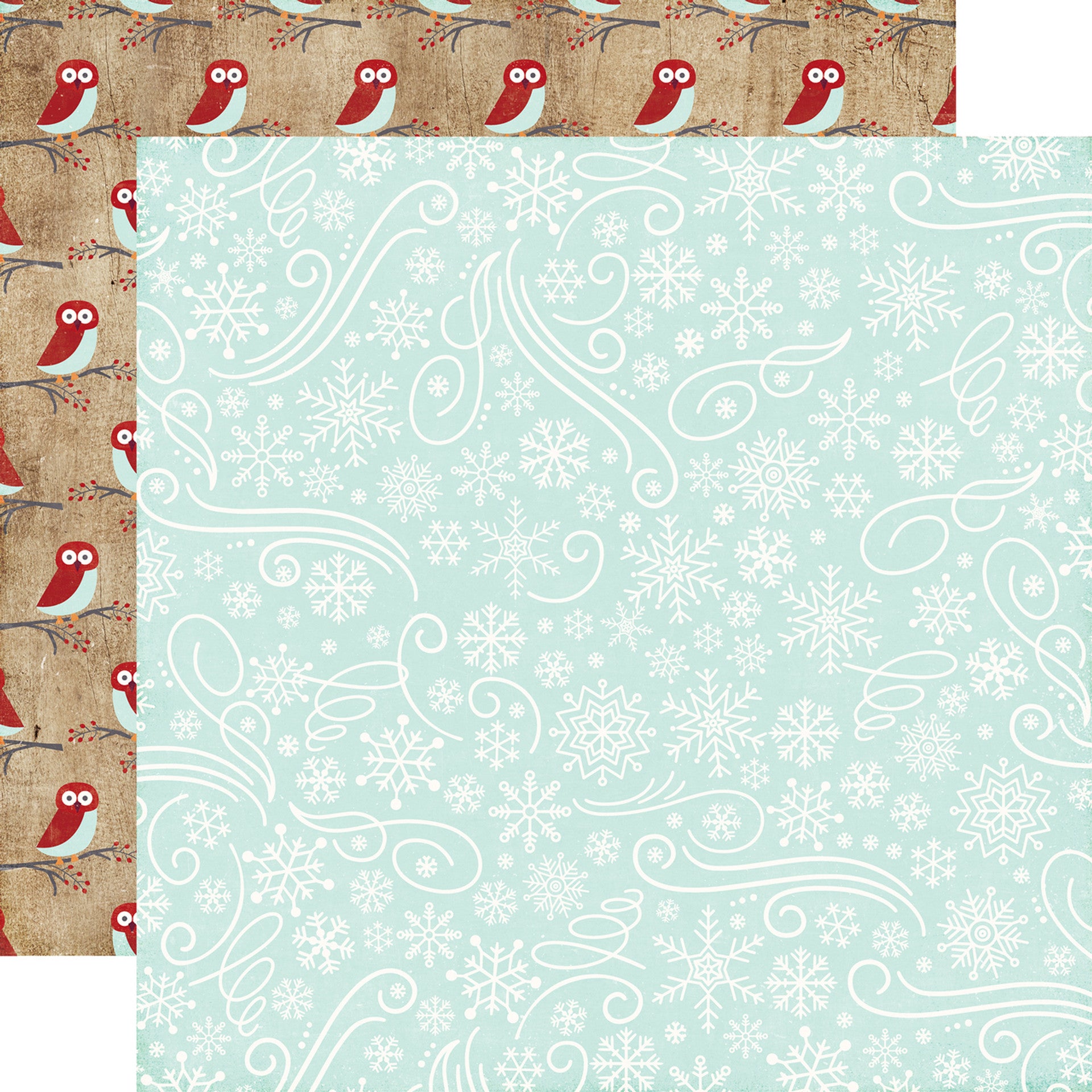 SNOWFLAKE SWIRLS - 12x12 Double-Sided Patterned Paper - Echo Park Paper ...