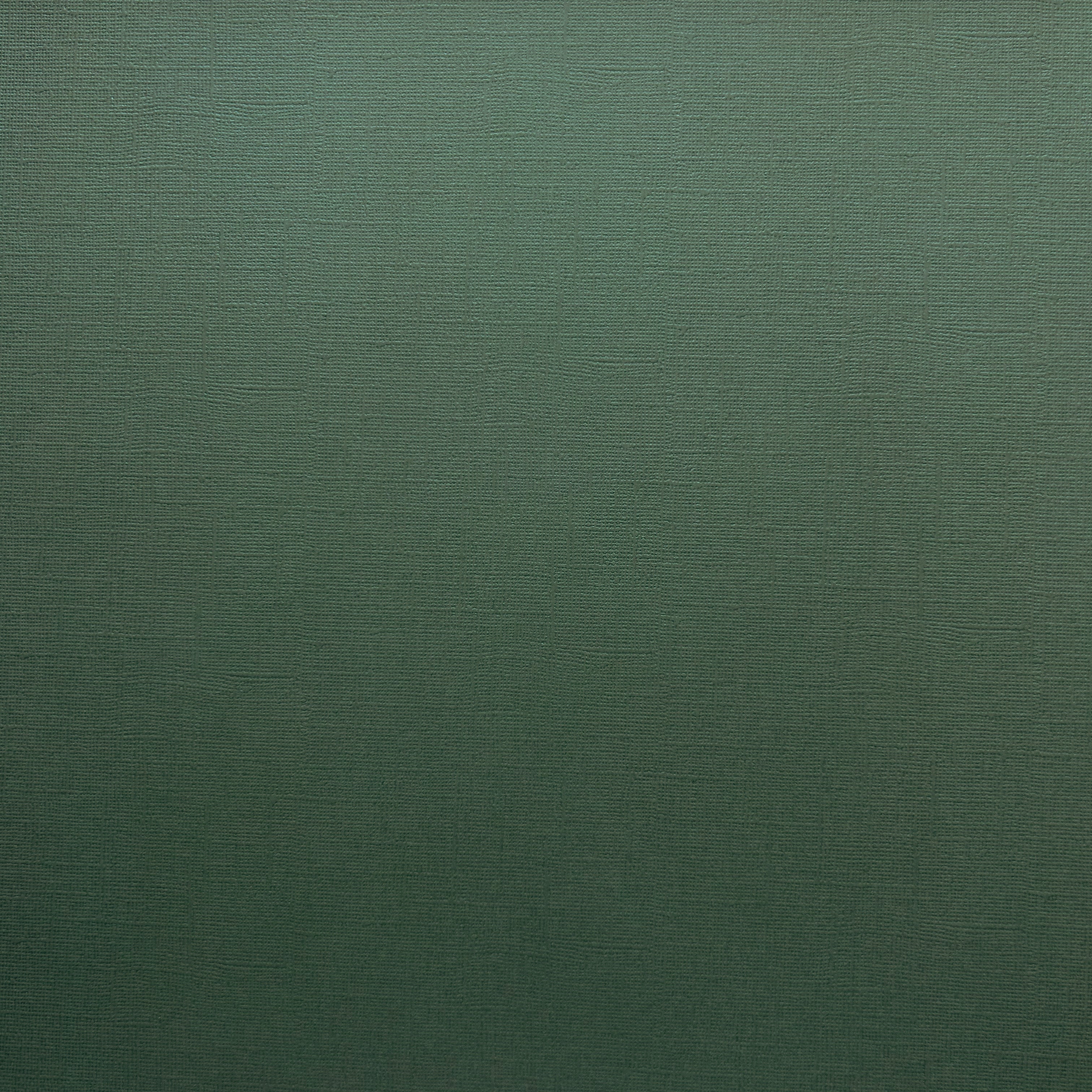 ASPEN GREEN 12x12 Textured Dark Green Cardstock - Encore Paper – The ...