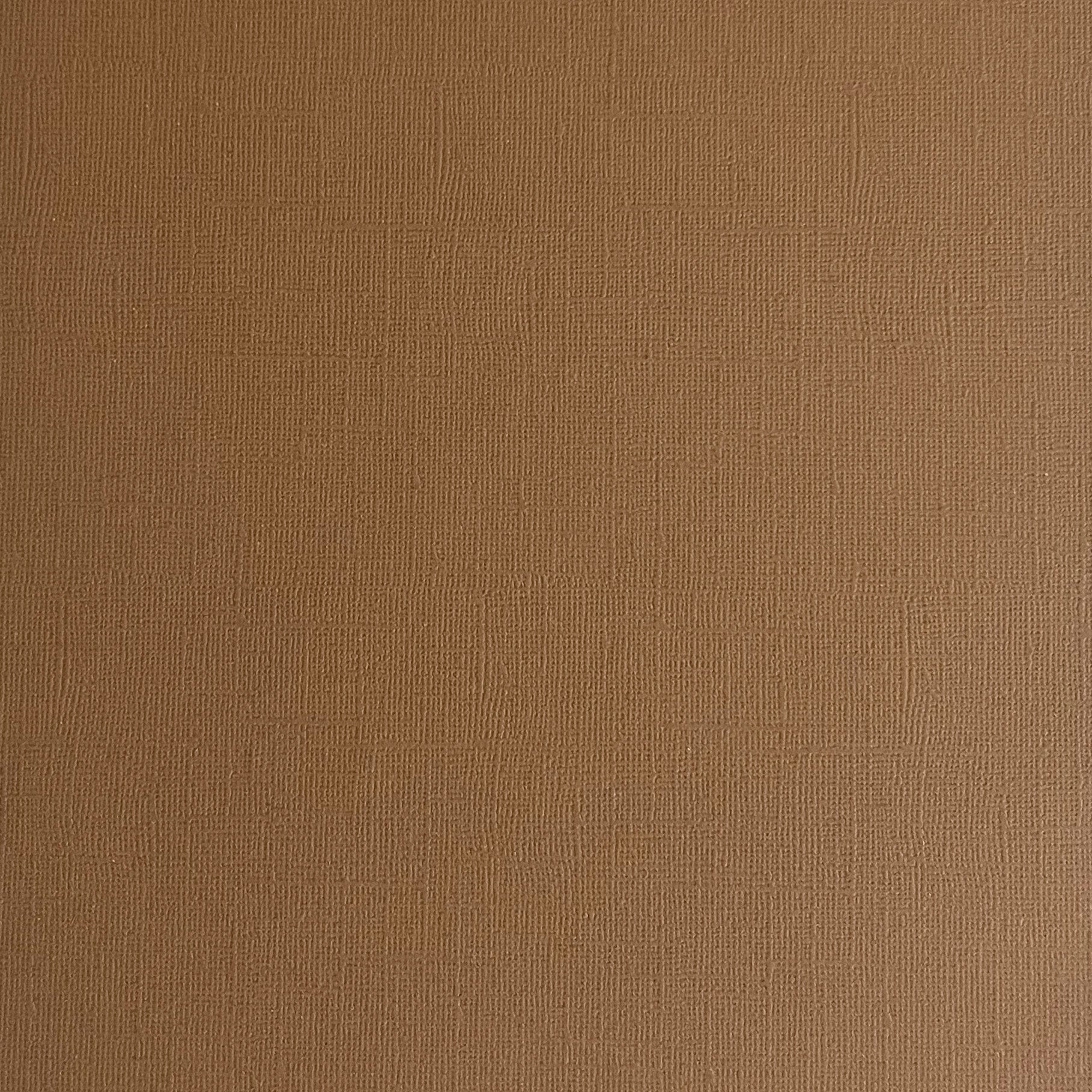 CATTAIL 12x12 Textured Brown Cardstock - Encore Paper – The 12x12 ...