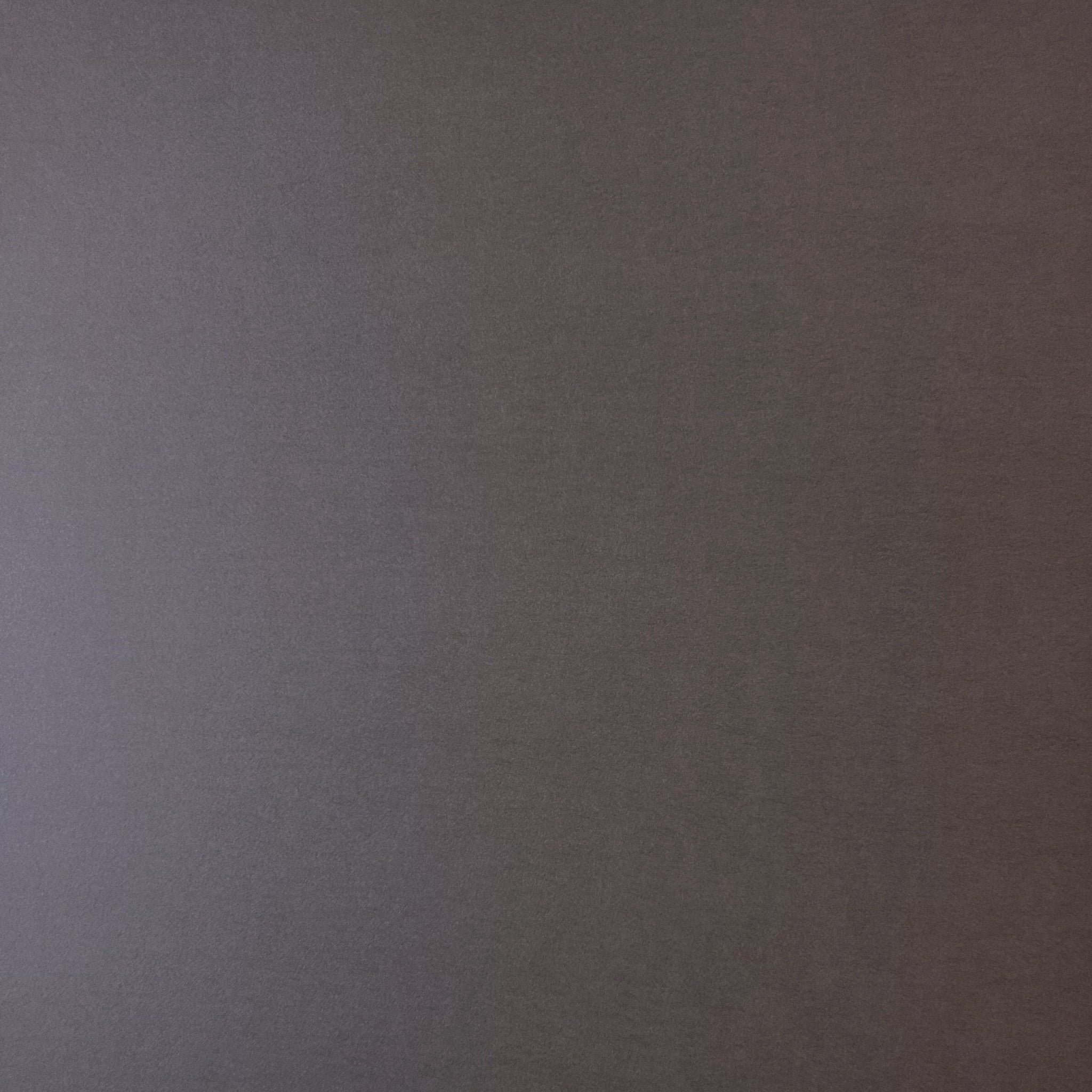 Dolphin 12x12 Textured Gray Cardstock - Encore Paper – The 12x12 ...