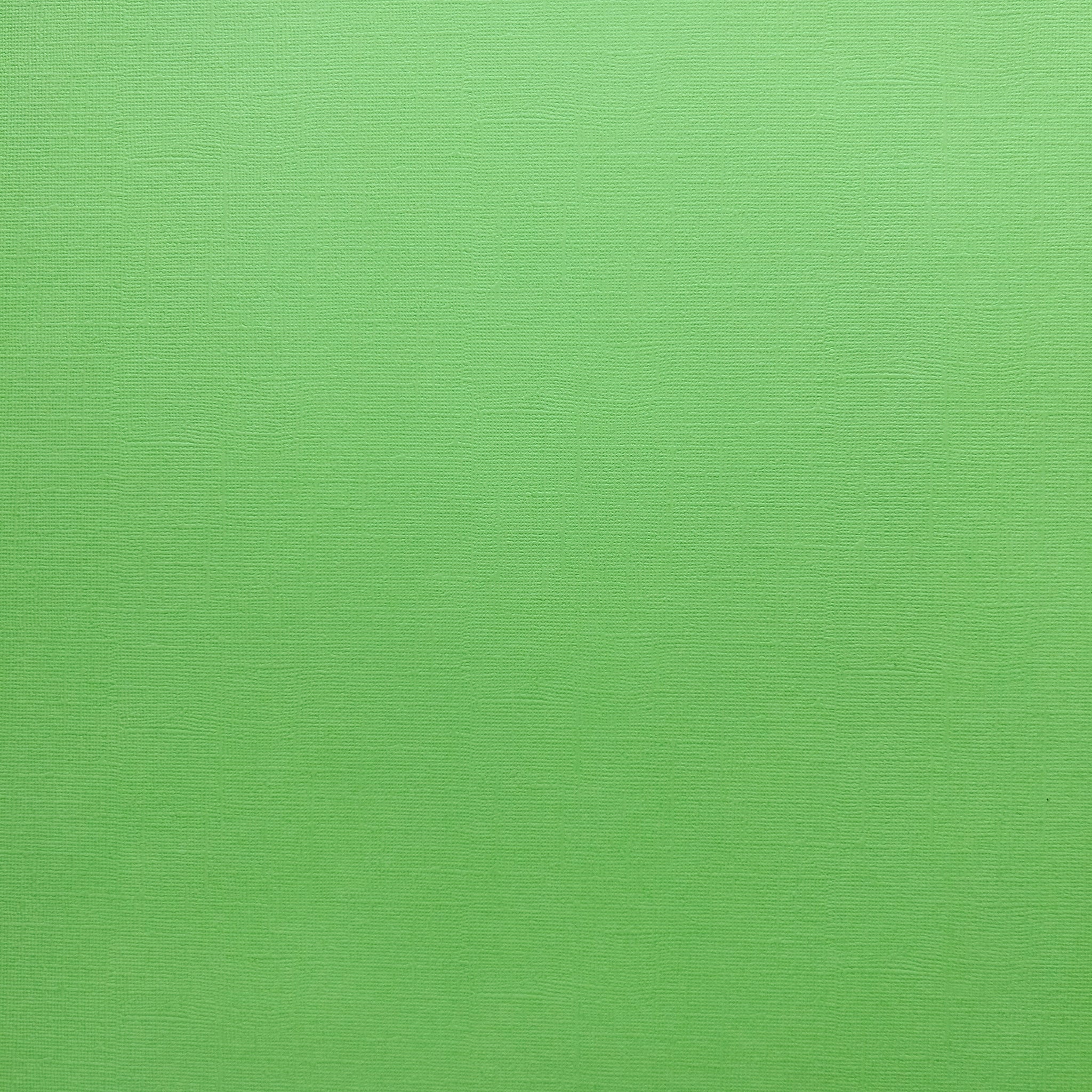 CABBAGE 12x12 Textured Light Green Cardstock - Encore Paper – The 12x12 ...
