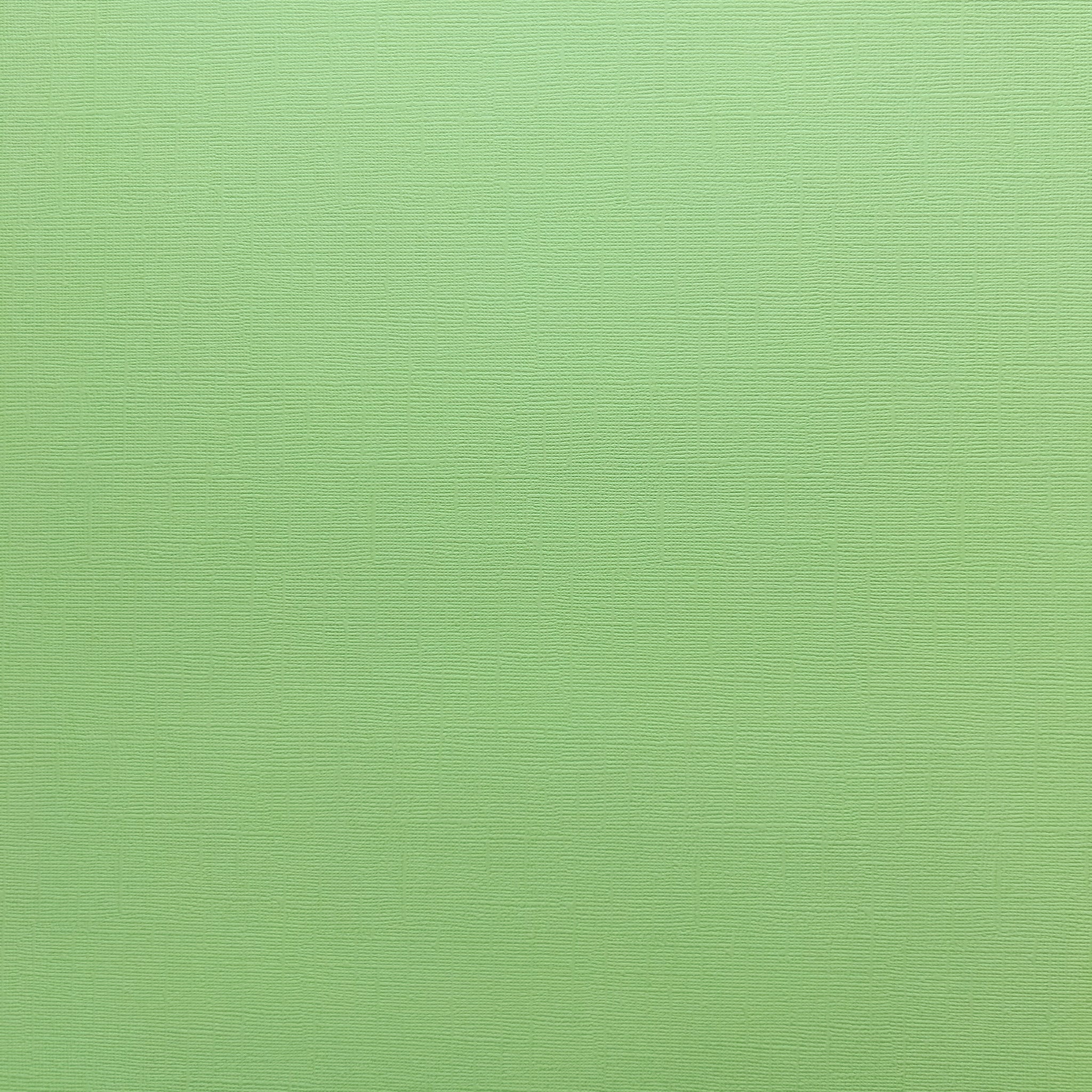 LIME SHERBET 12x12 Textured Pastel Green Cardstock - Encore Paper – The ...