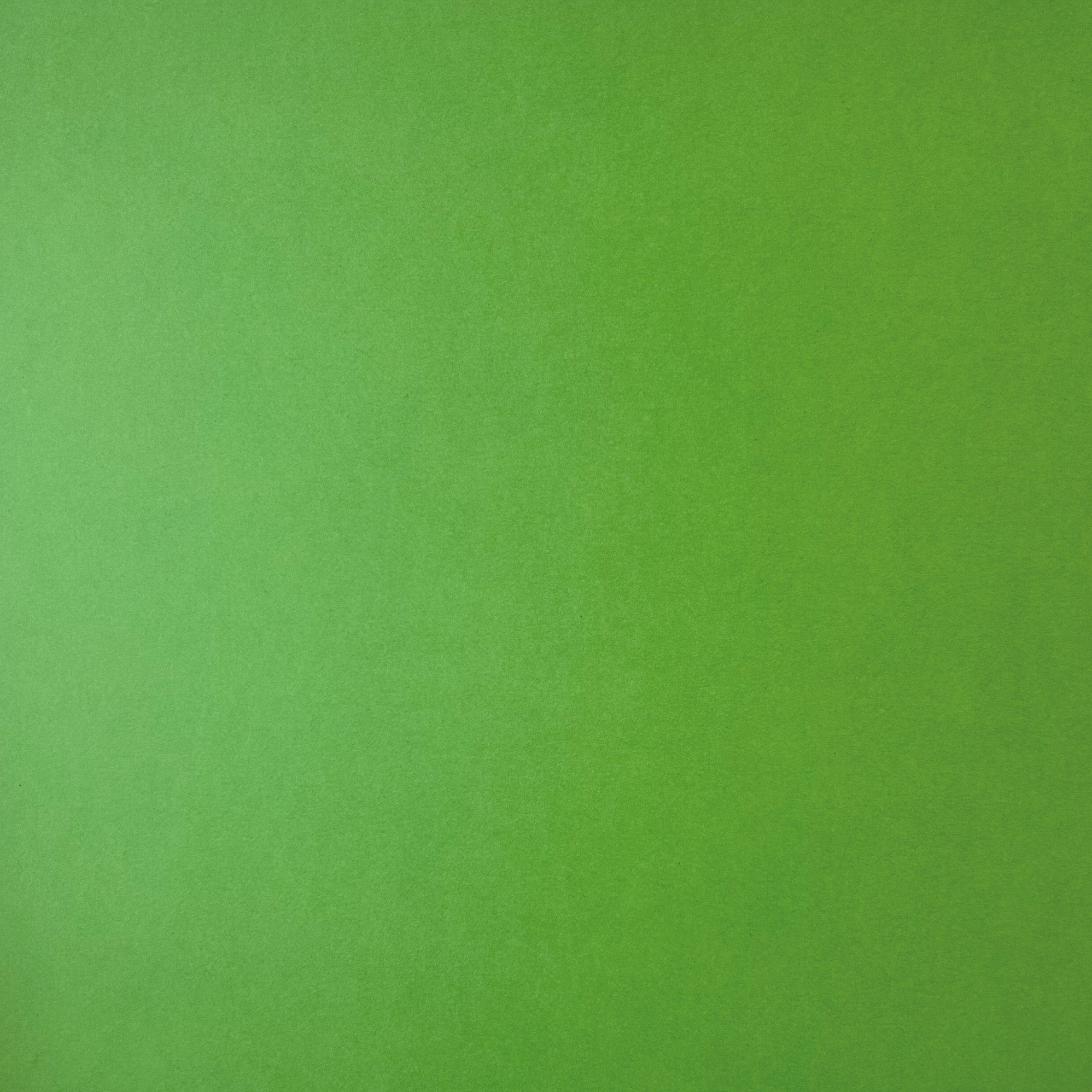PARSLEY 12x12 Textured Green Cardstock - Encore Paper – The 12x12 ...
