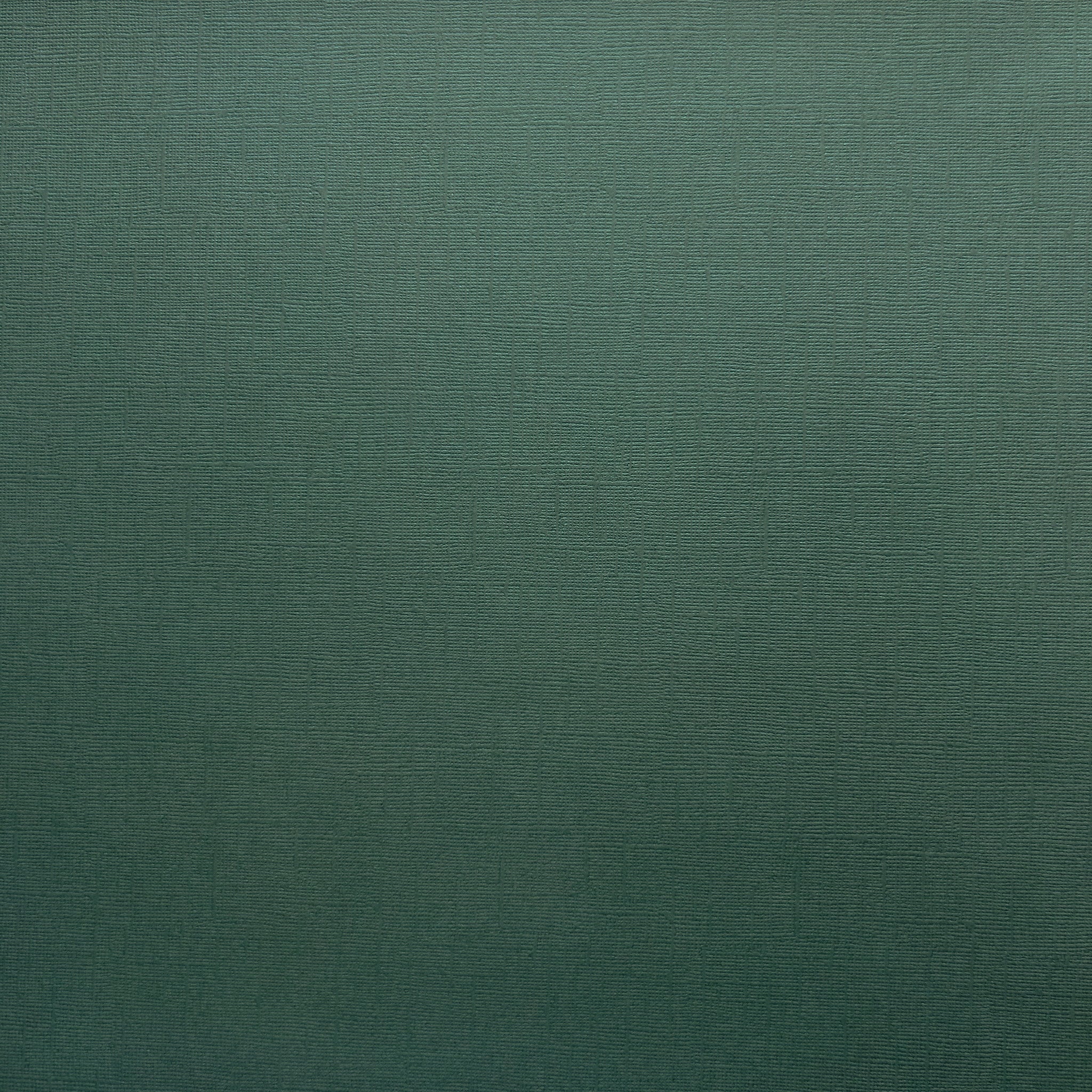PINE BOUGH 12x12 Textured Dark Green Cardstock - Encore Paper – The ...