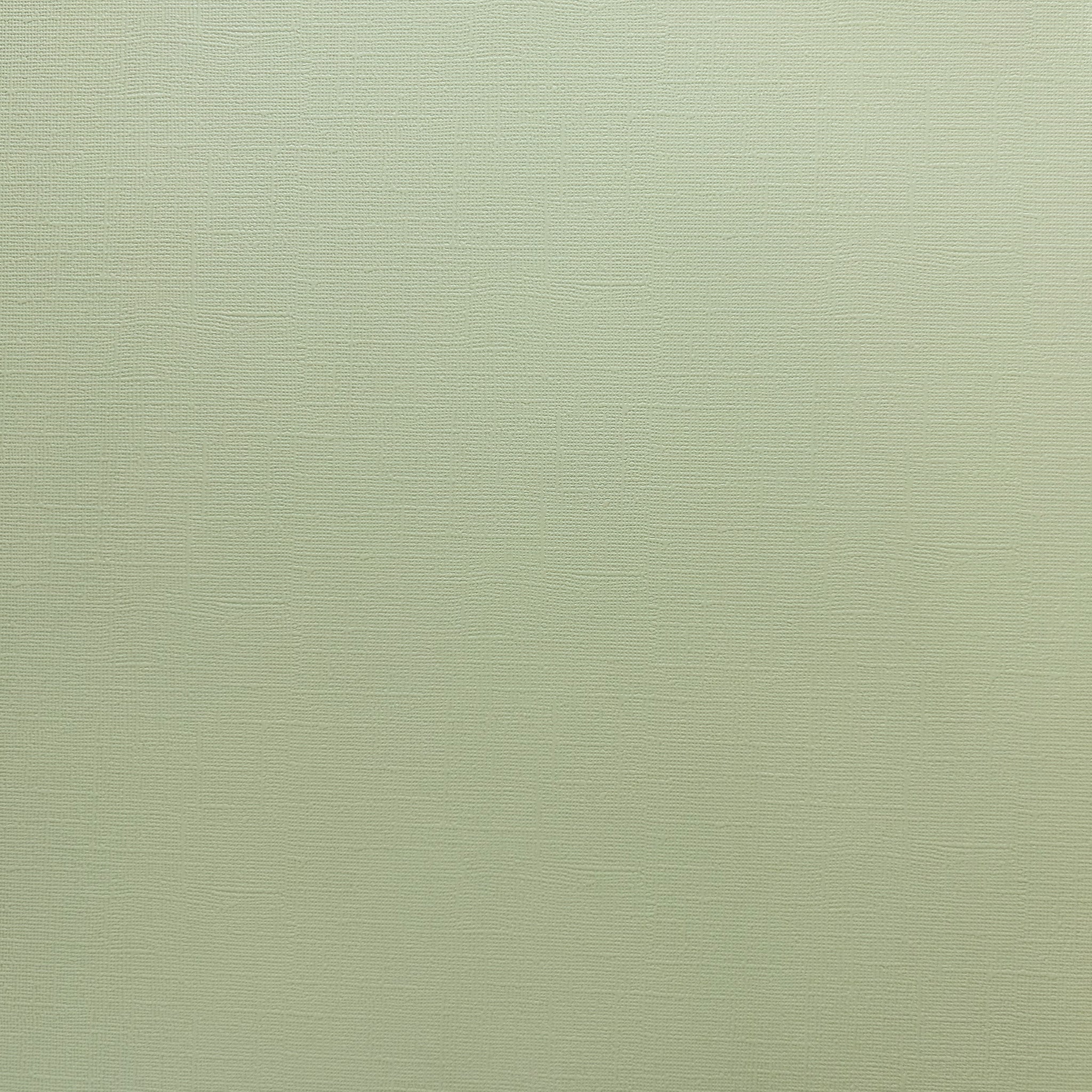 PISTACHIO 12x12 Textured Grey Green Cardstock - Encore Paper – The ...