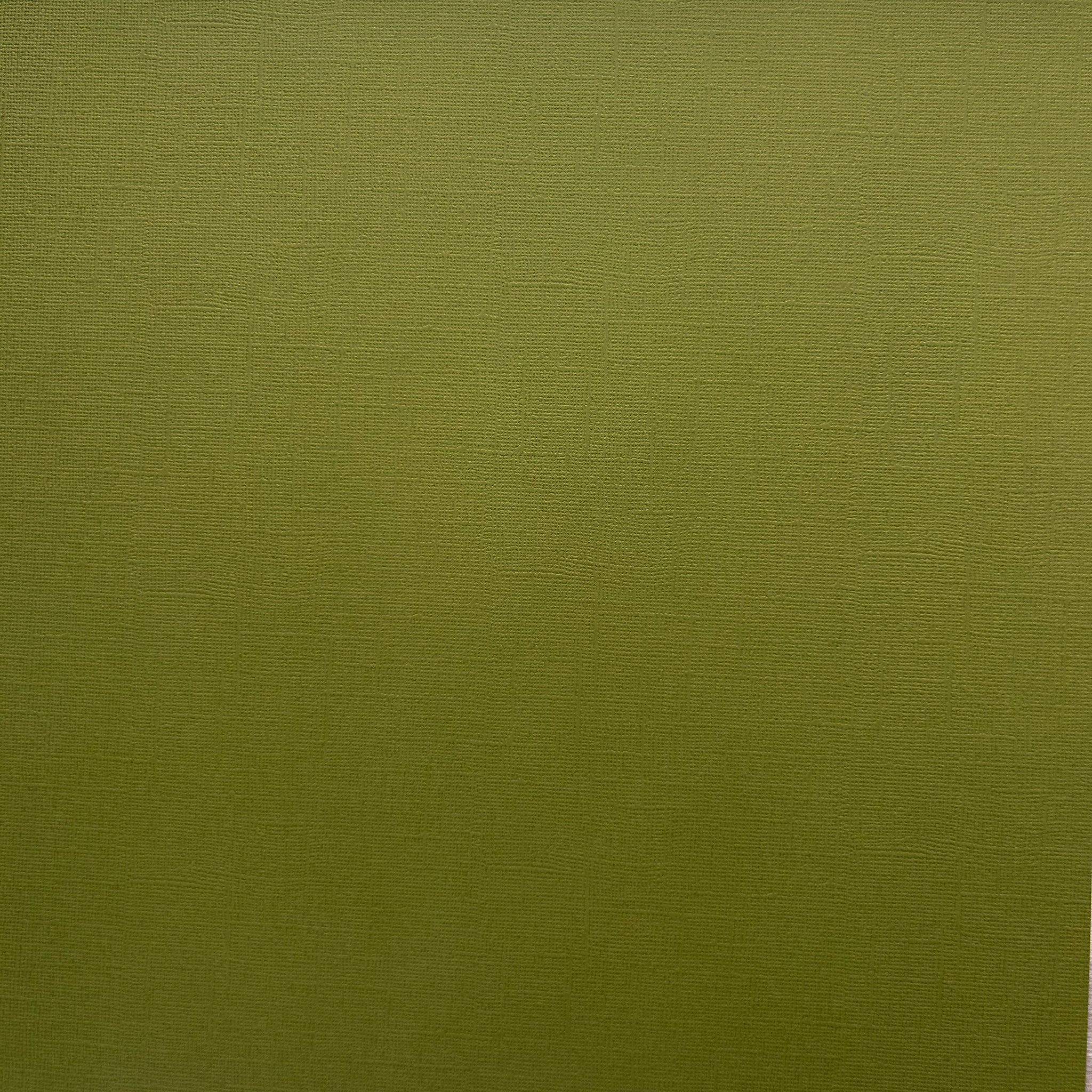 SUCCULENT 12x12 Textured Olive Green Cardstock - Encore Paper – The ...