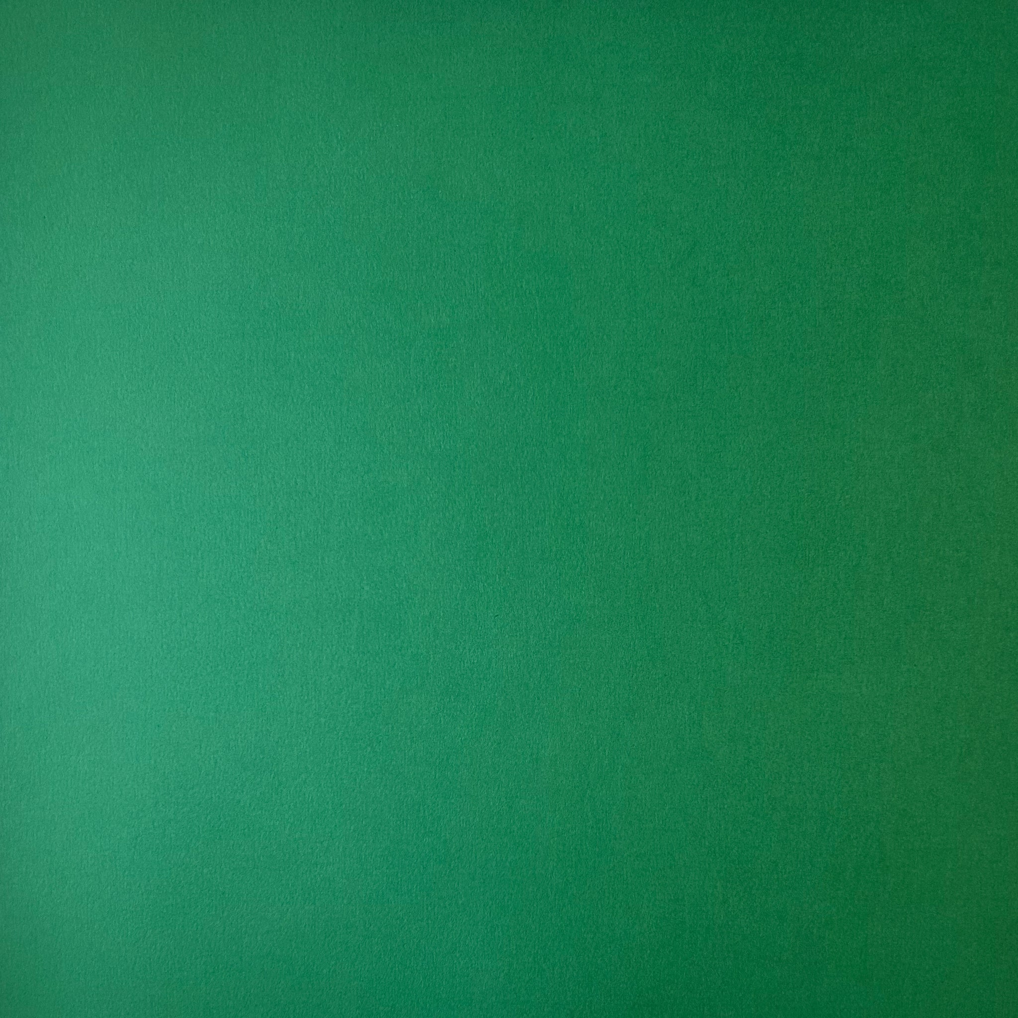 FOREST GREEN 12x12 Textured Green Cardstock - Encore Paper – The 12x12 ...