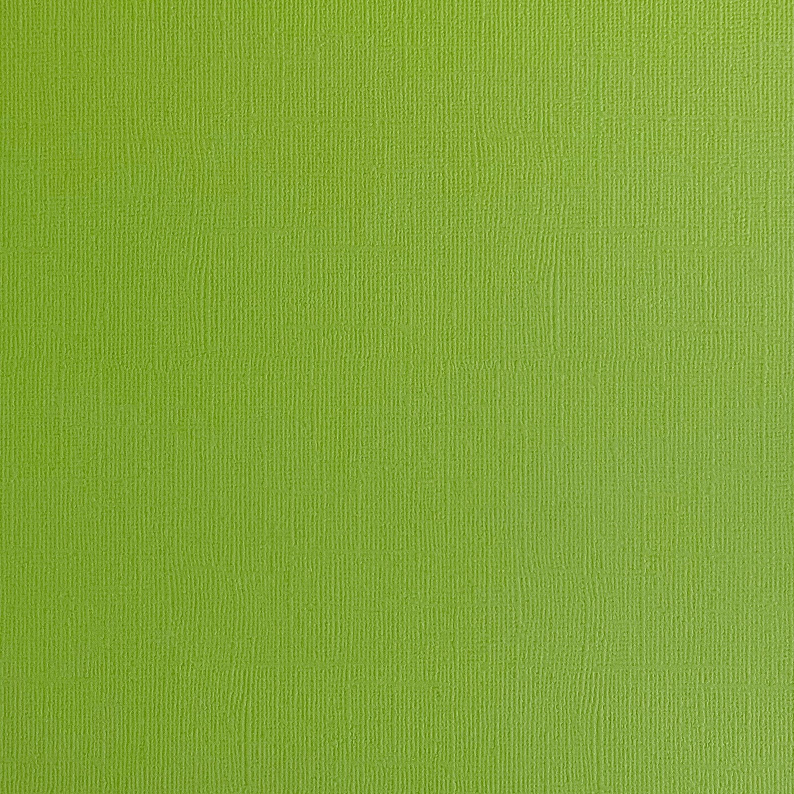 GRASSHOPPER 12x12 Textured Bright Green Cardstock - Encore Paper – The ...