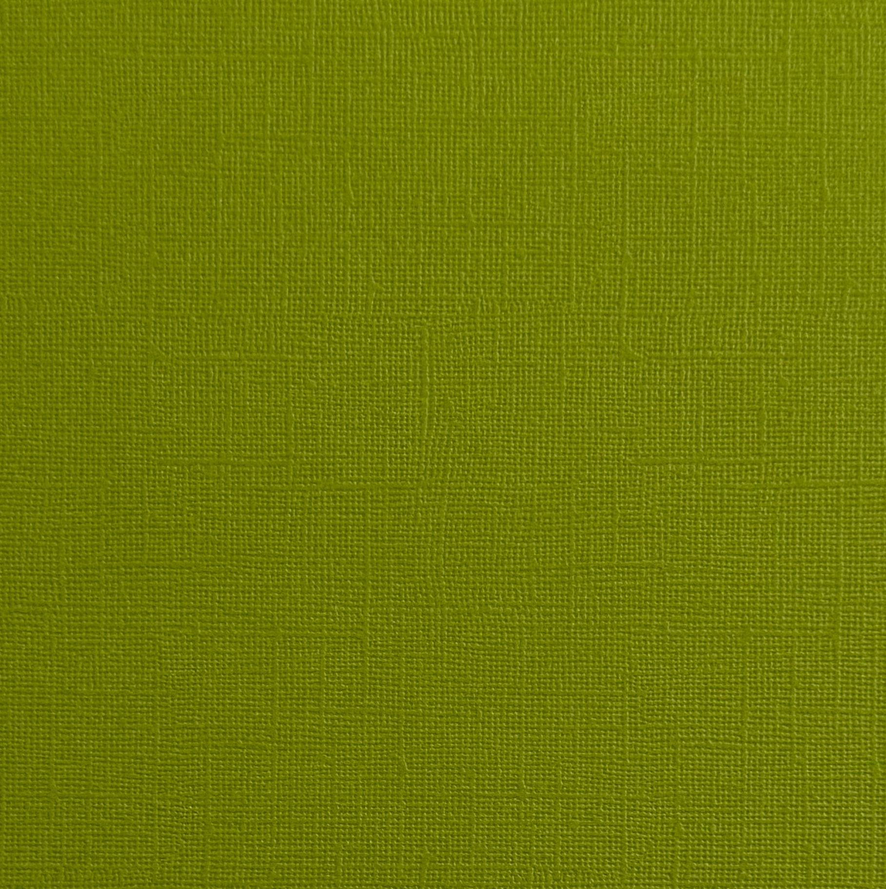 GREEN IGUANA 12x12 Textured Olive Green Cardstock - Encore Paper – The ...