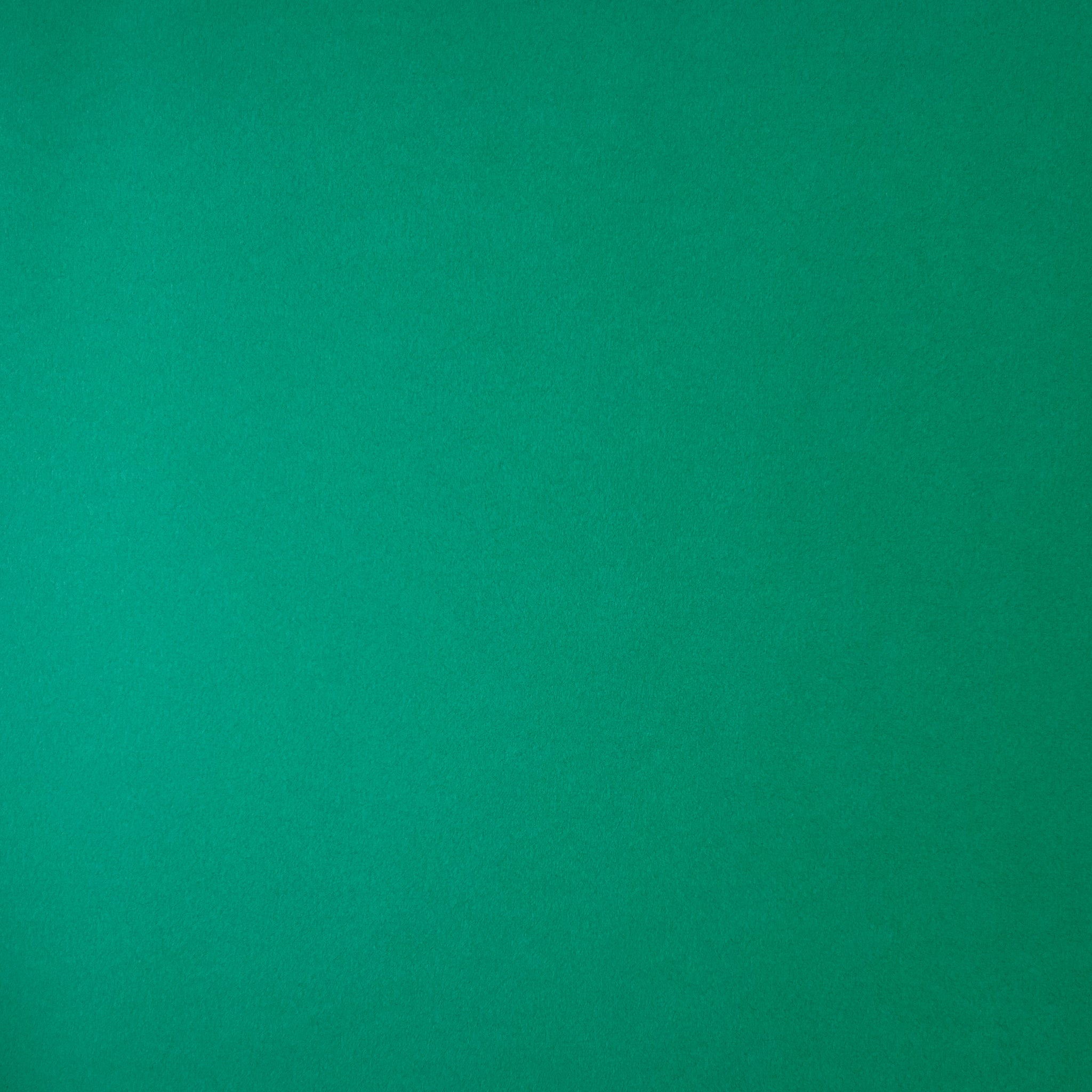 LUCKY CLOVER 12x12 Textured Green Cardstock - Encore Paper – The 12x12 ...