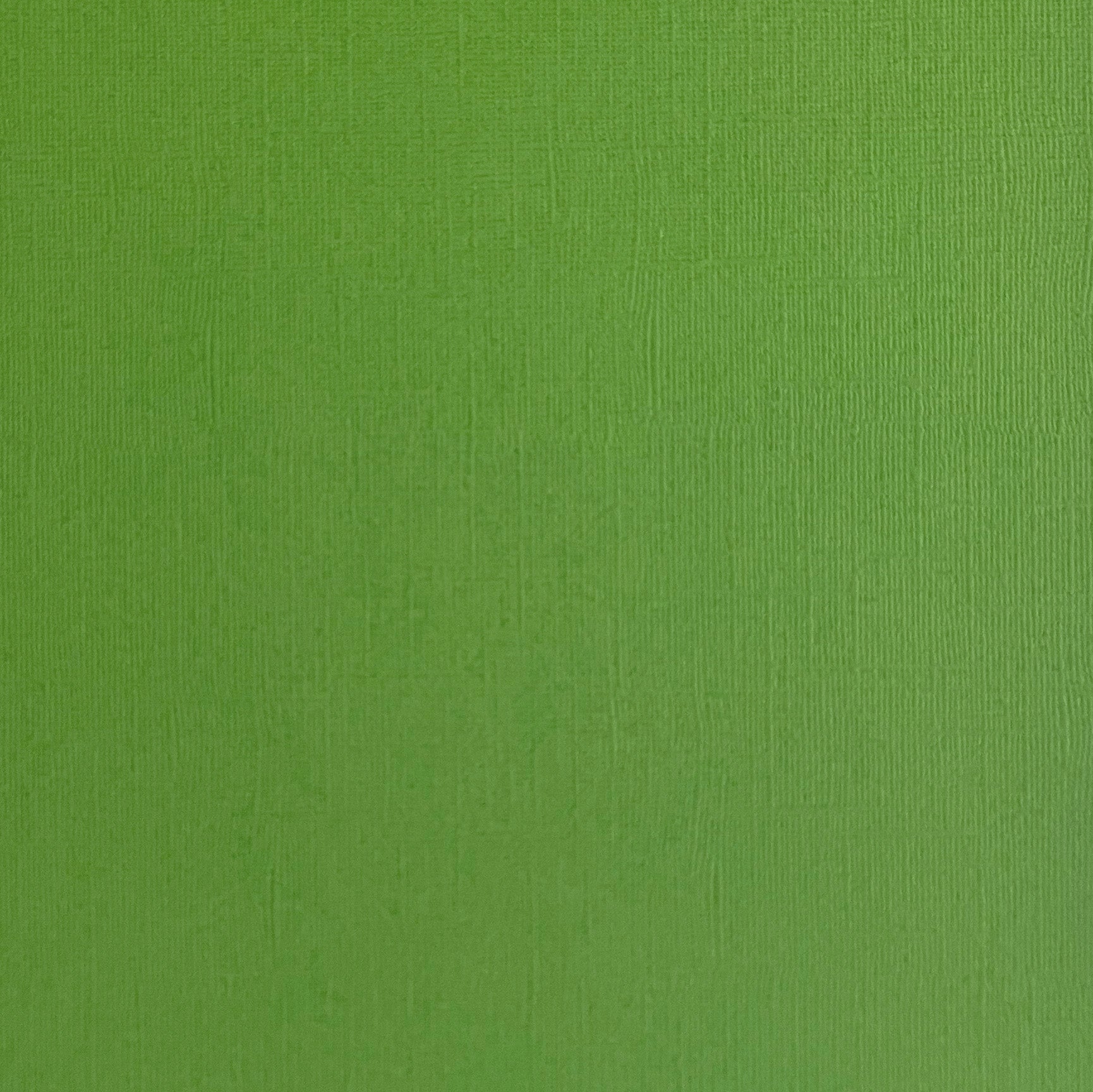 PARSLEY 12x12 Textured Green Cardstock - Encore Paper – The 12x12 ...