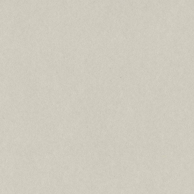 SHALE - My Colors Heavyweight 100 lb 12x12 Cardstock – The 12x12 ...