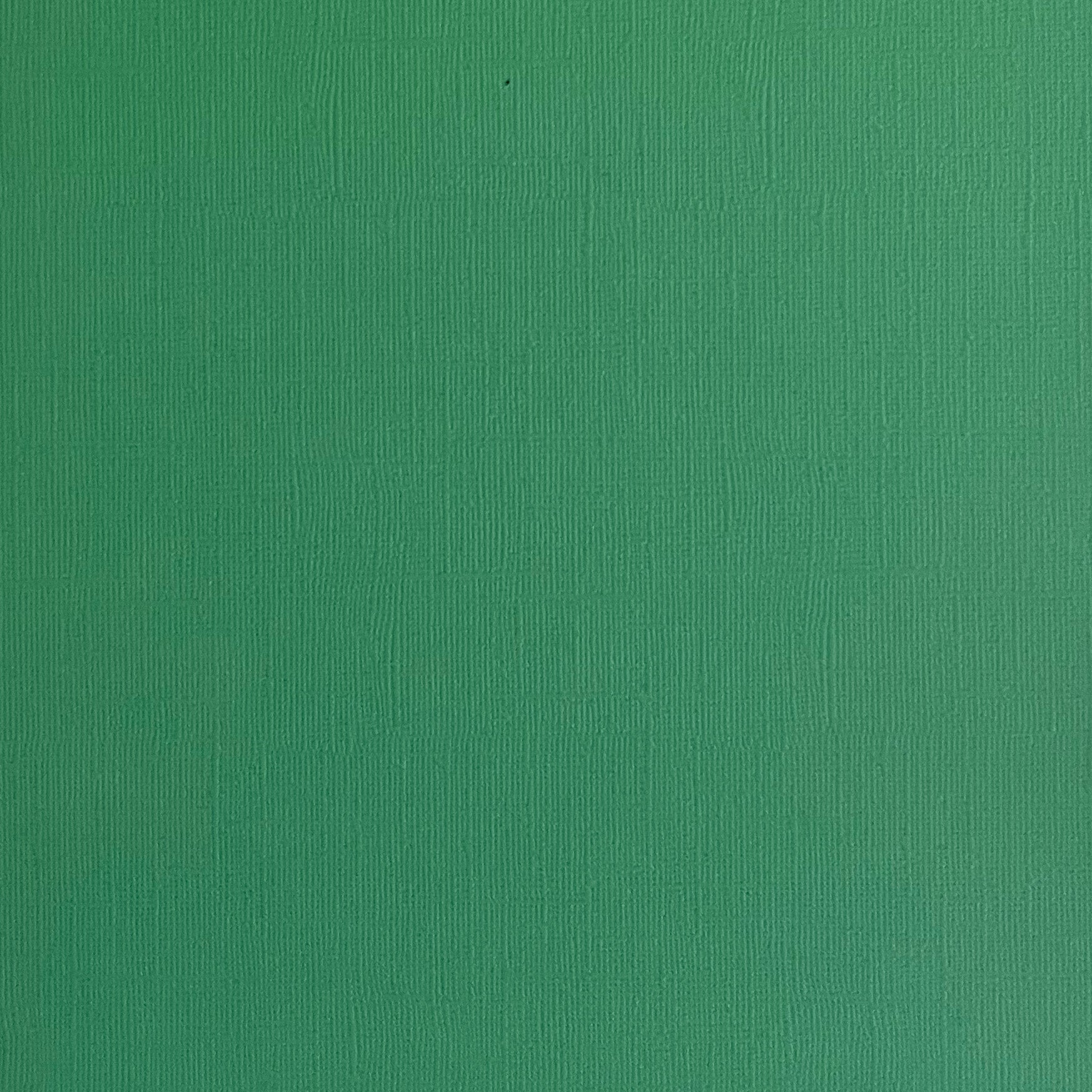 LUCKY CLOVER 12x12 Textured Green Cardstock - Encore Paper – The 12x12 ...