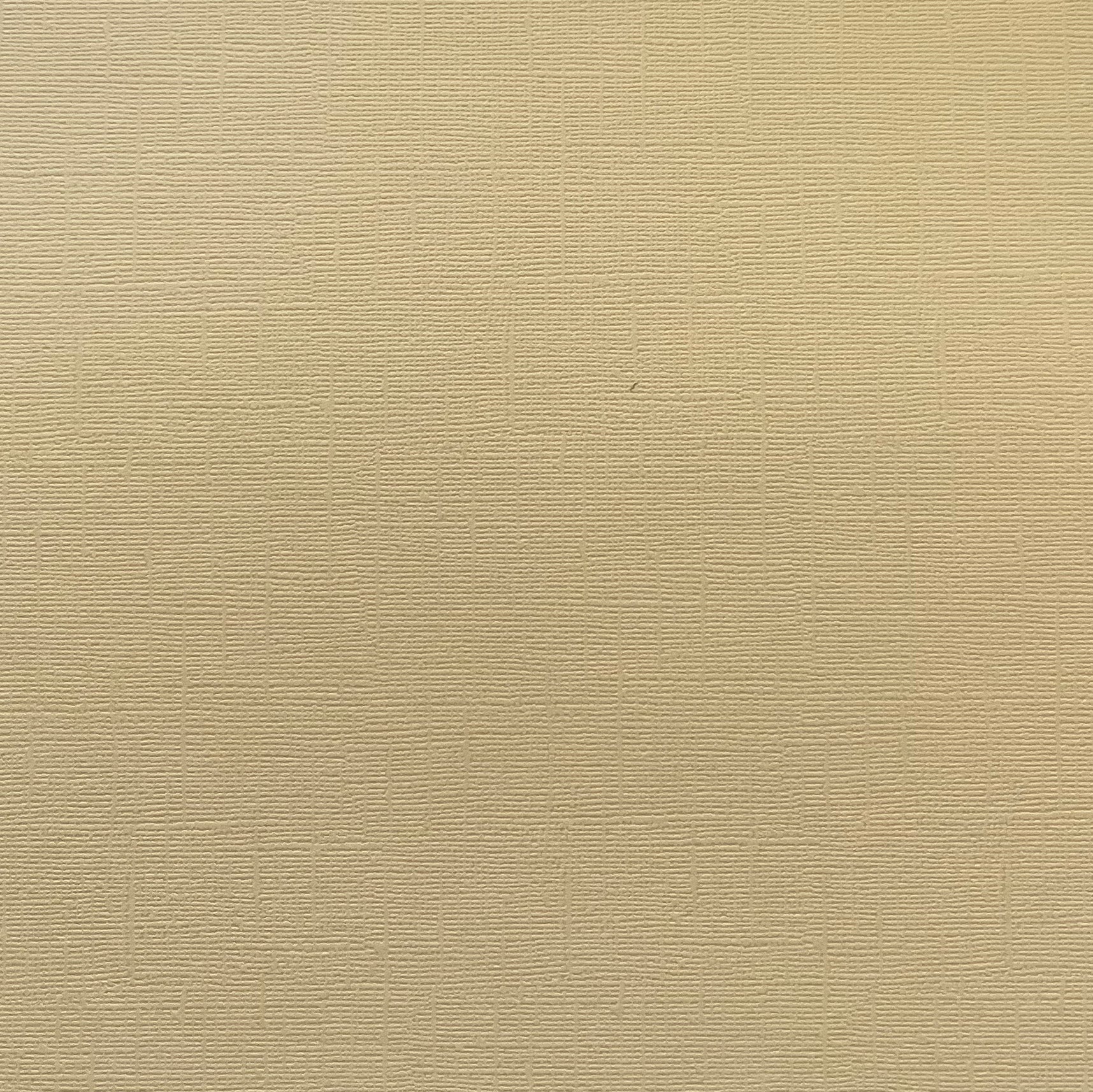 Winter Wheat 12x12 Textured Tan Cardstock - Encore Paper – The 12x12 ...