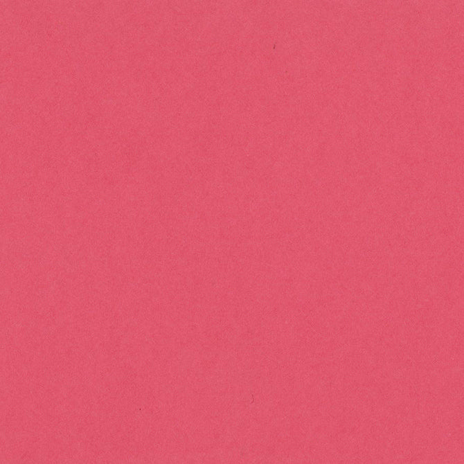 ROSE CHINTZ - My Colors Heavyweight 100 lb 12x12 Cardstock – The 12x12 ...