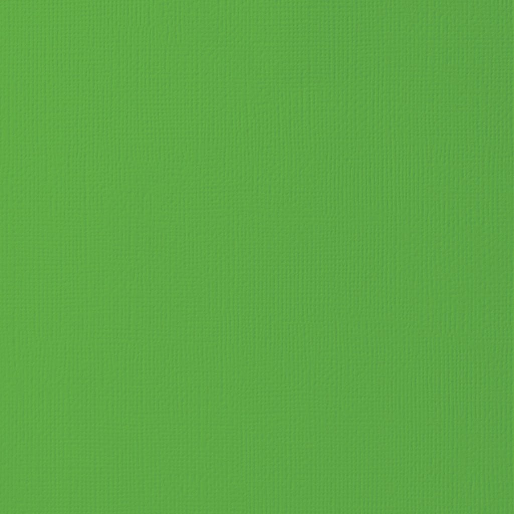 GRASS – 12x12 Green Cardstock American Crafts Textured Scrapbook Paper ...