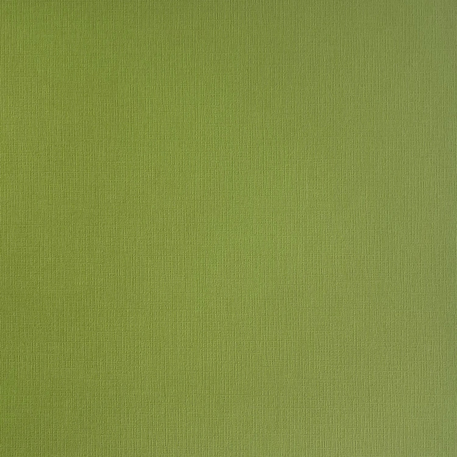 GRASSHOPPER 12x12 Textured Green Cardstock - My Colors – The 12x12 ...
