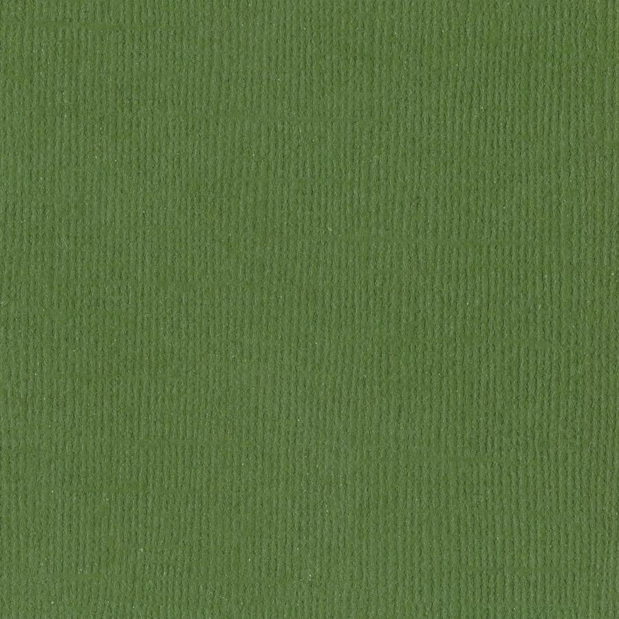 NIXON – 12x12 Green Cardstock 80 lb Textured Bazzill Scrapbook Paper ...