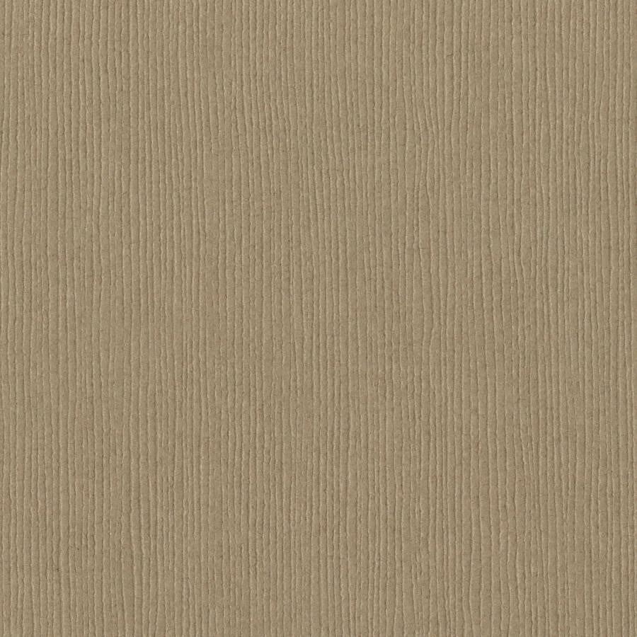 QUICKSAND – 12x12 Tan Cardstock 80 lb Textured Bazzill Scrapbook Paper ...
