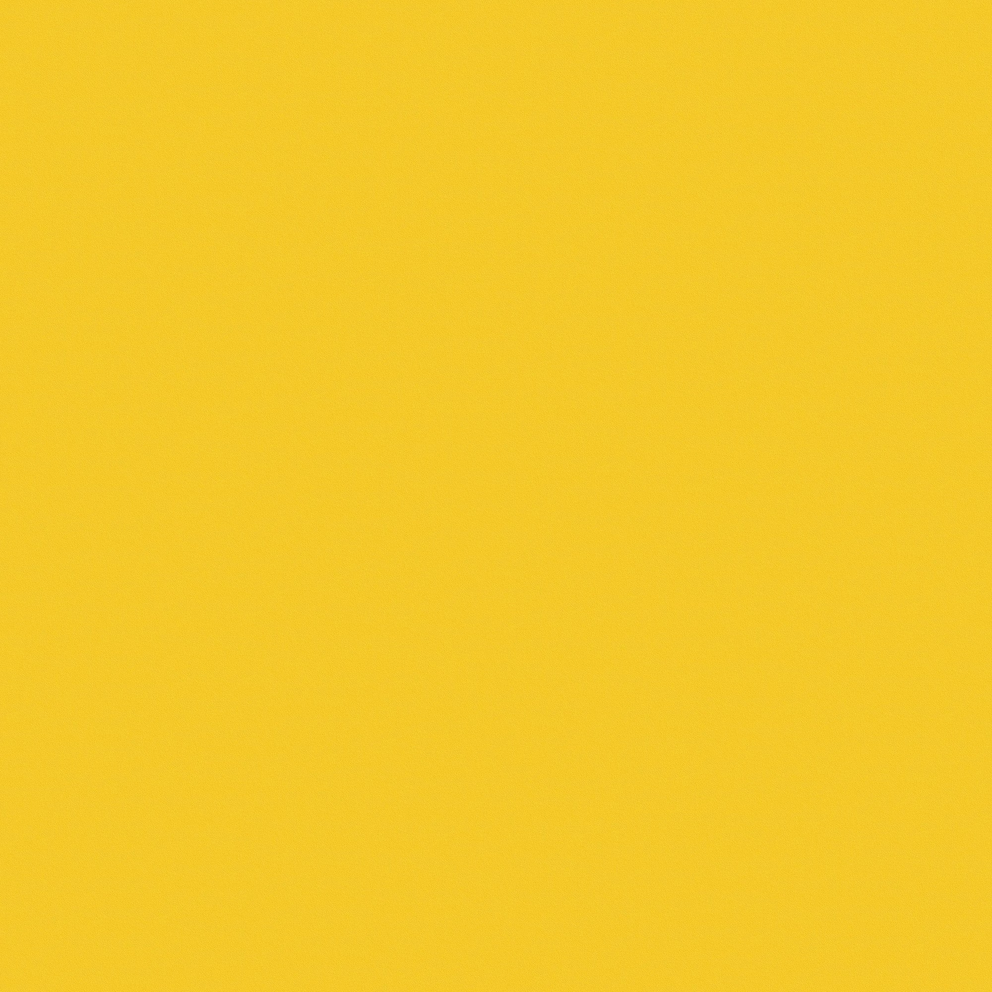 SUNFLOWER - 12x12 Yellow Smooth Cardstock - Lessebo Colors – The 12x12 ...