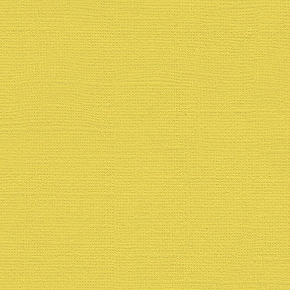 FIREFLIES 12x12 Textured Yellow Cardstock - My Colors – The 12x12 ...