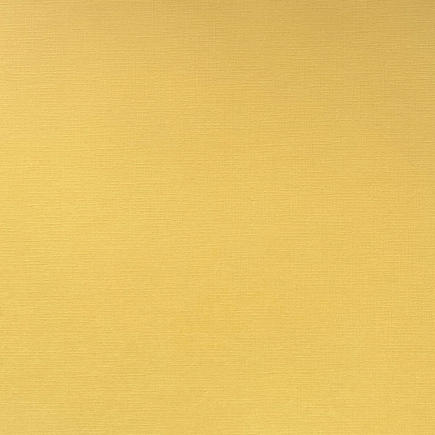 TUSCAN SUN 12x12 Textured Amber Yellow Cardstock - My Colors – The 12x12 Cardstock Shop
