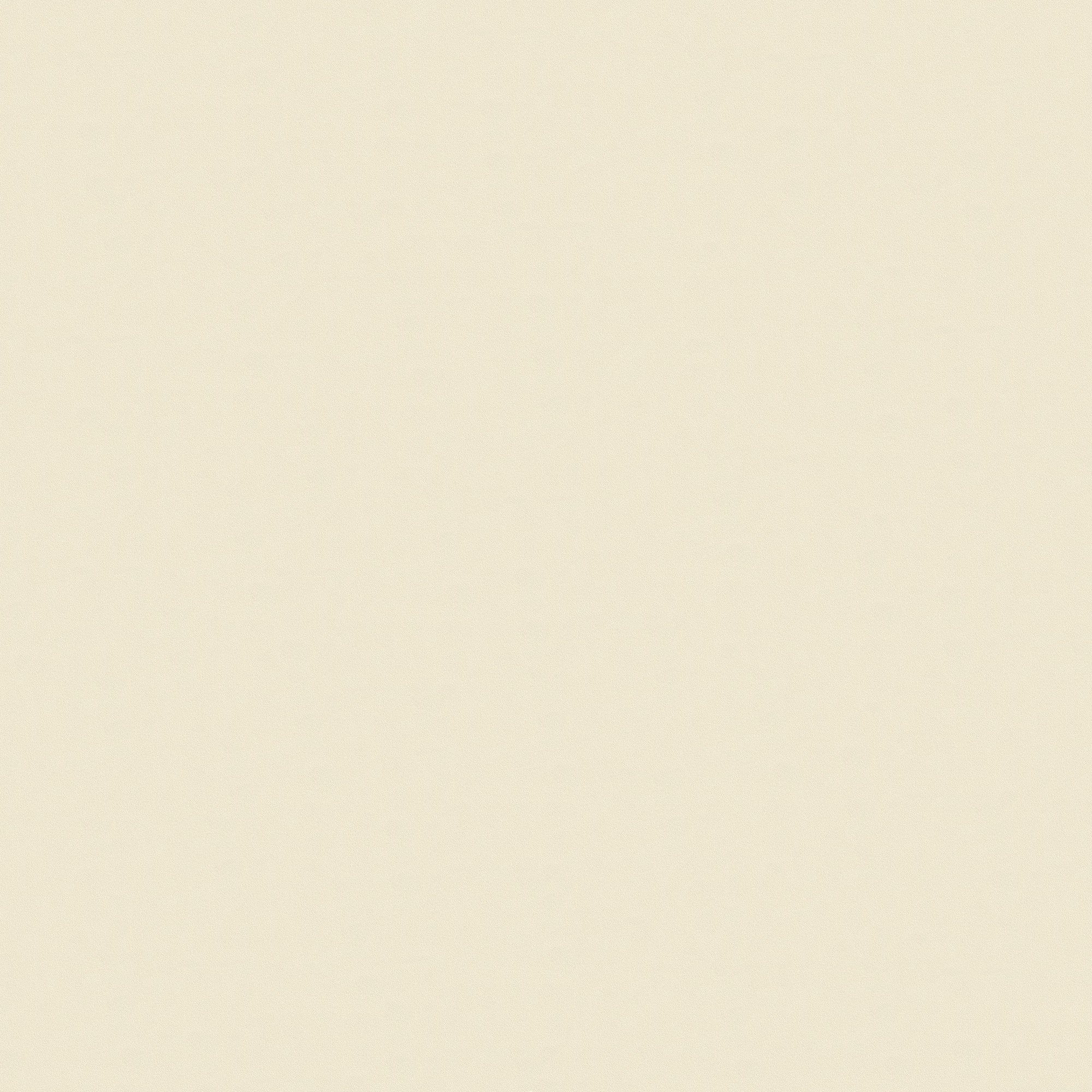 VANILLA 12x12 Cream-Colored Smooth Cardstock - Lessebo Colors – The ...